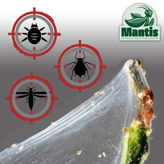 Mantis Plant Protection
